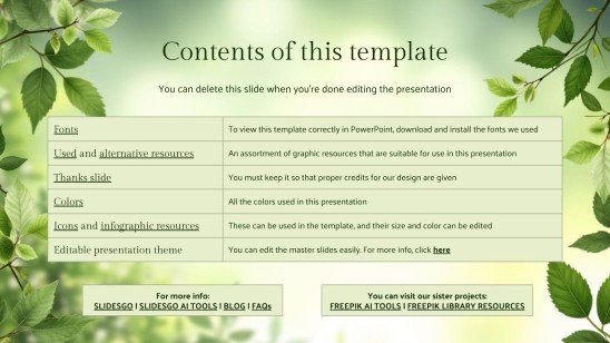 Nature Style Aesthetic Presentation