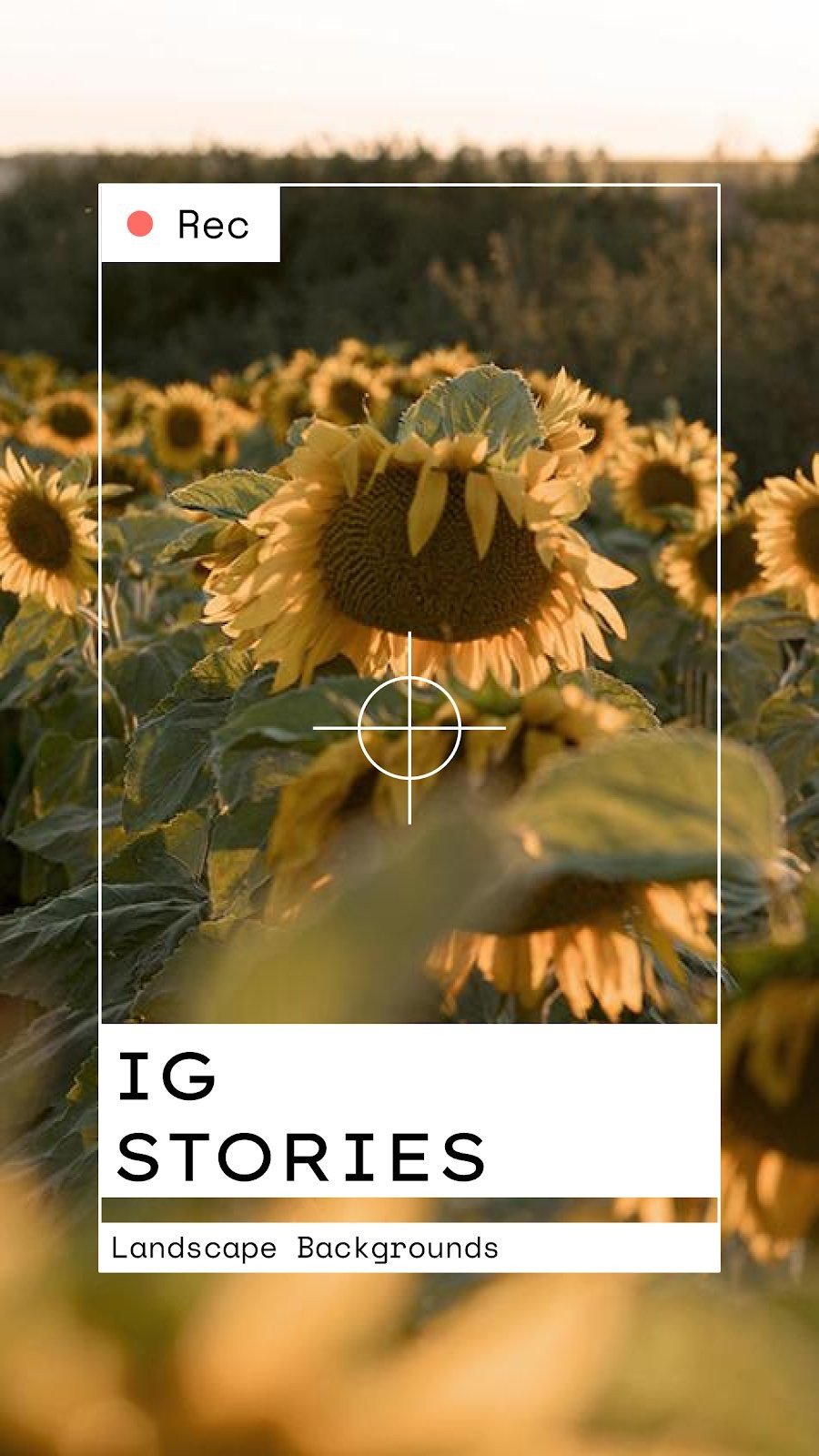 IG Stories Landscape Backgrounds | Google Slides & PPT