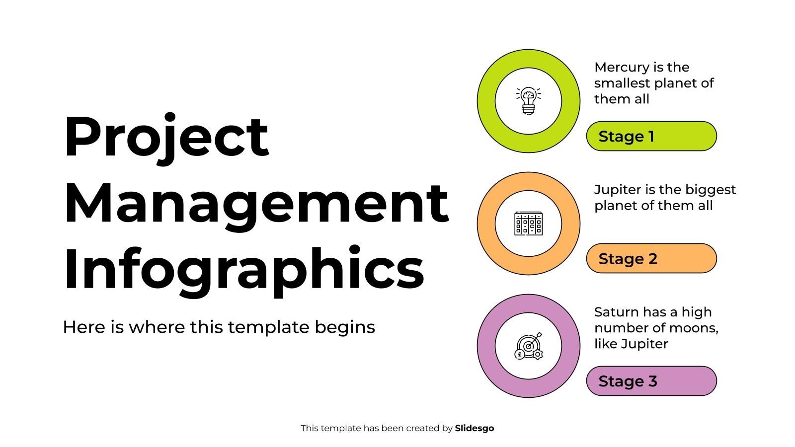 Project Management Infographics Template