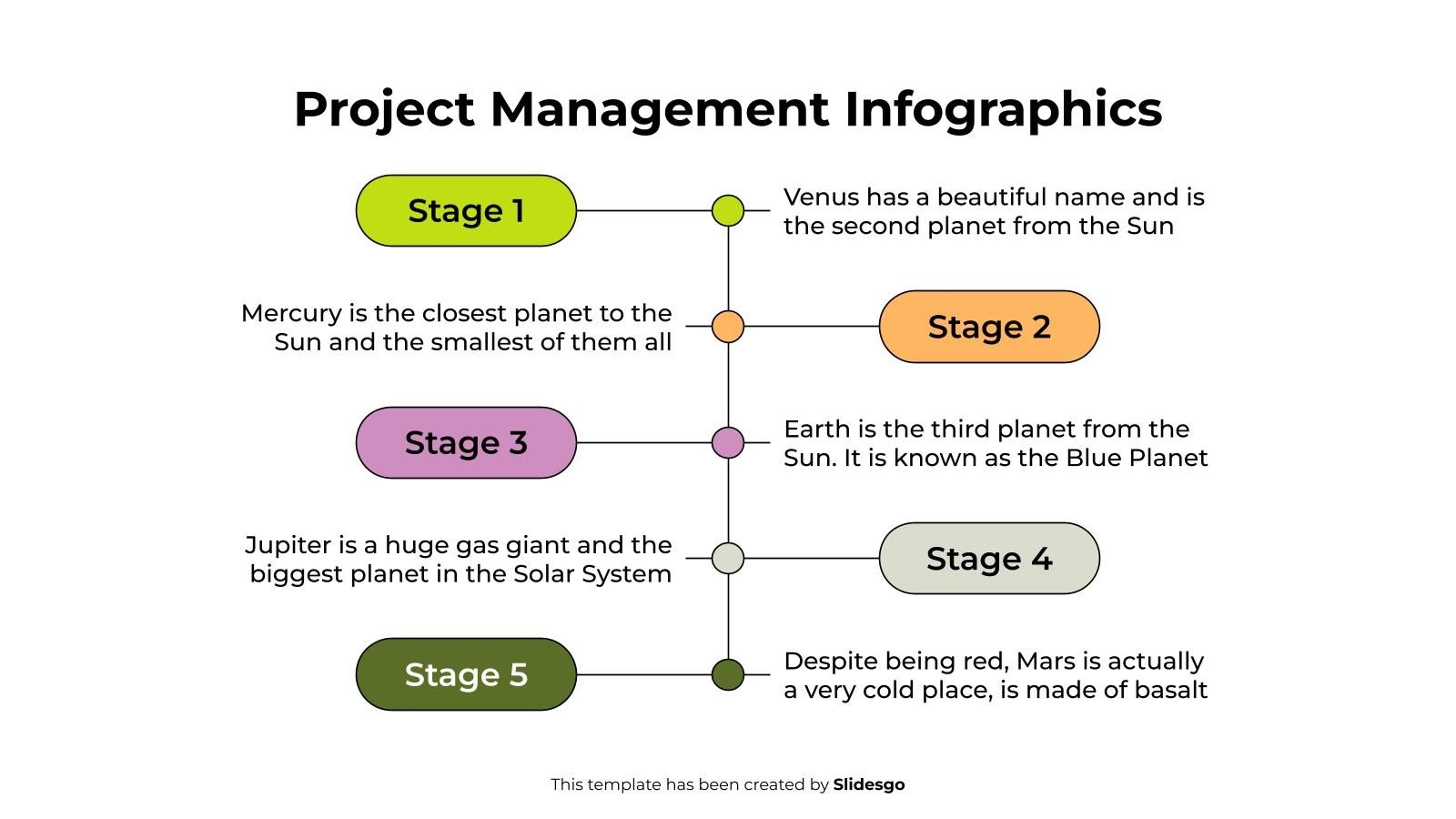 Project Management Infographics Template