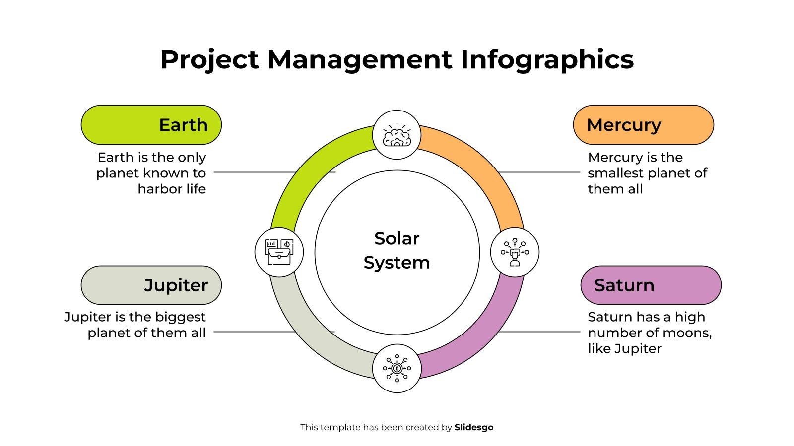 Project Management Infographics Template