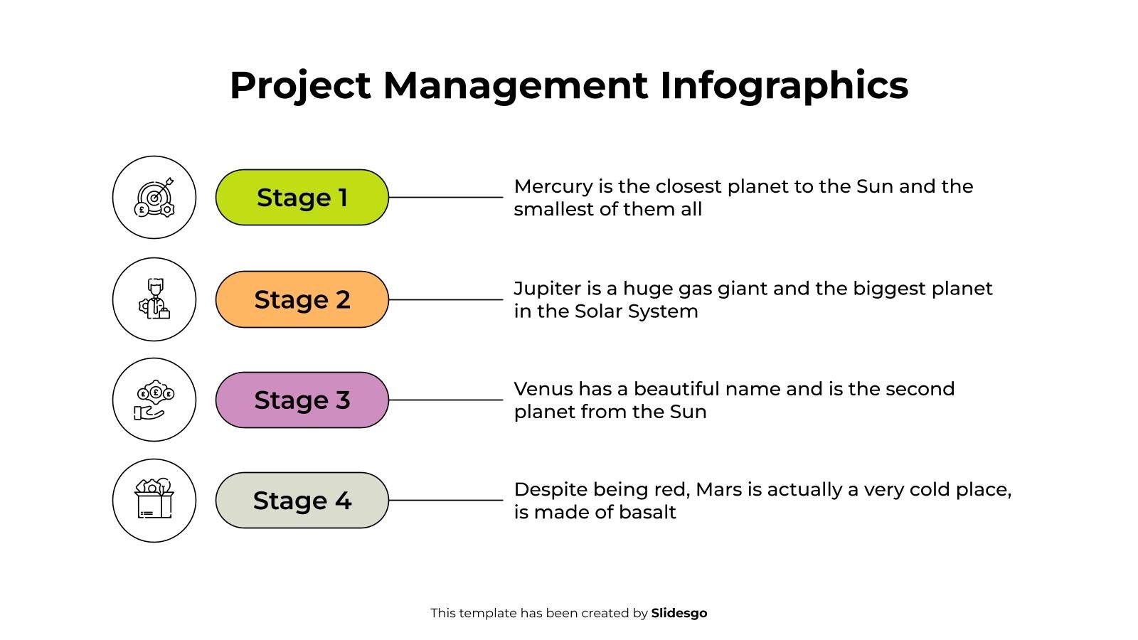 Project Management Infographics Template
