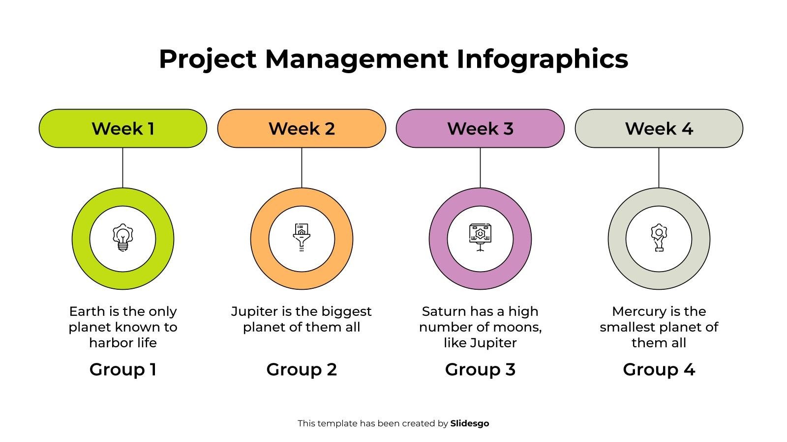Project Management Infographics Template