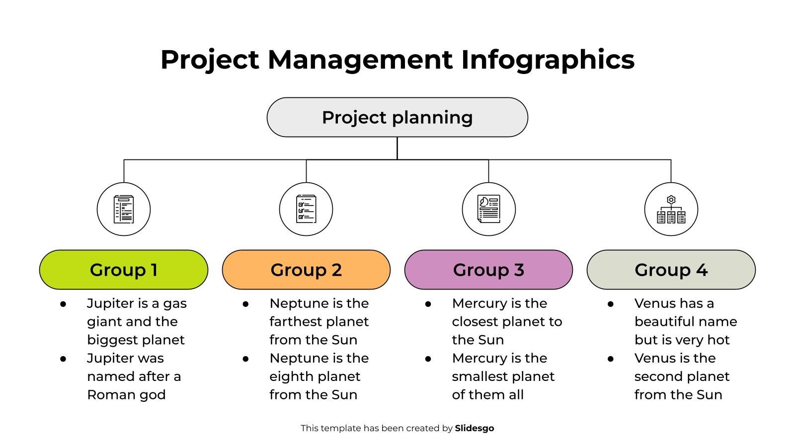 Project Management Infographics Template