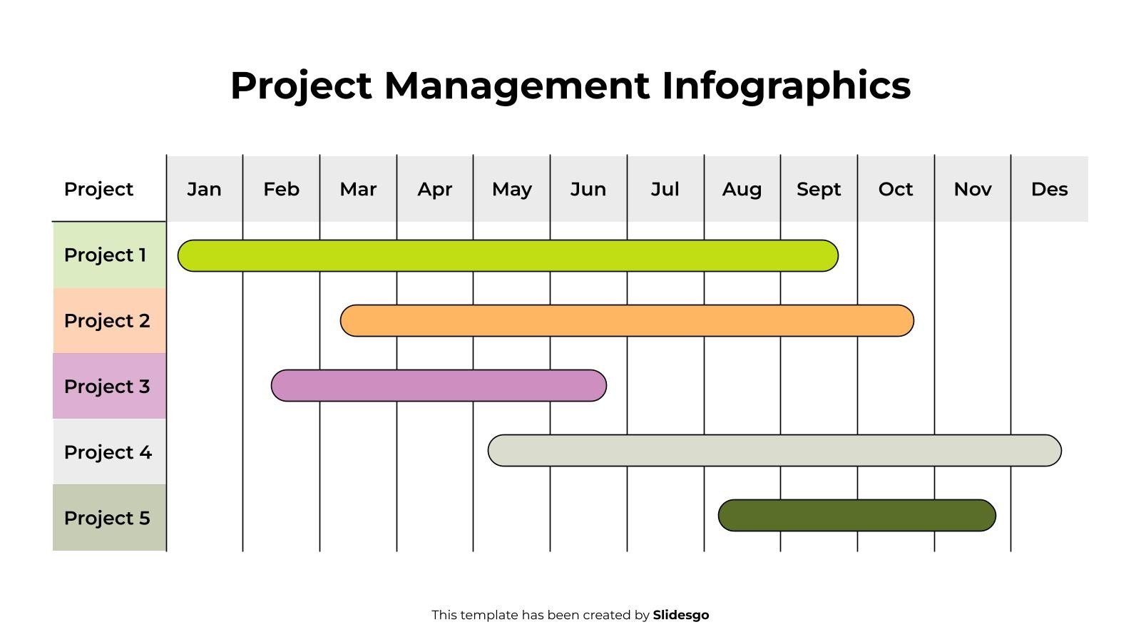 Project Management Infographics Template
