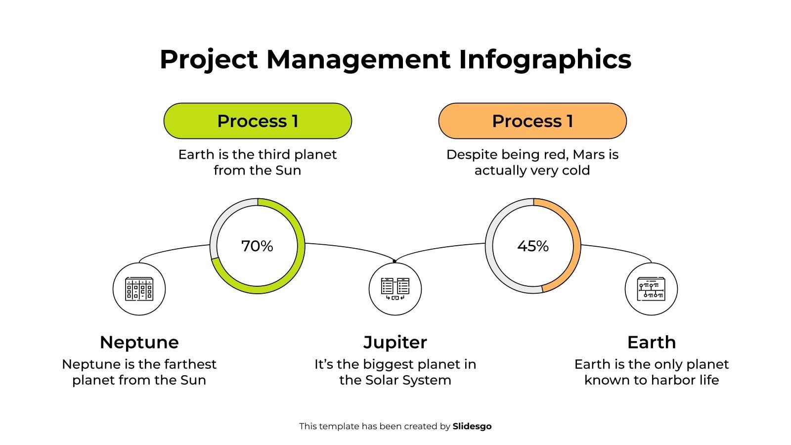 Project Management Infographics Template
