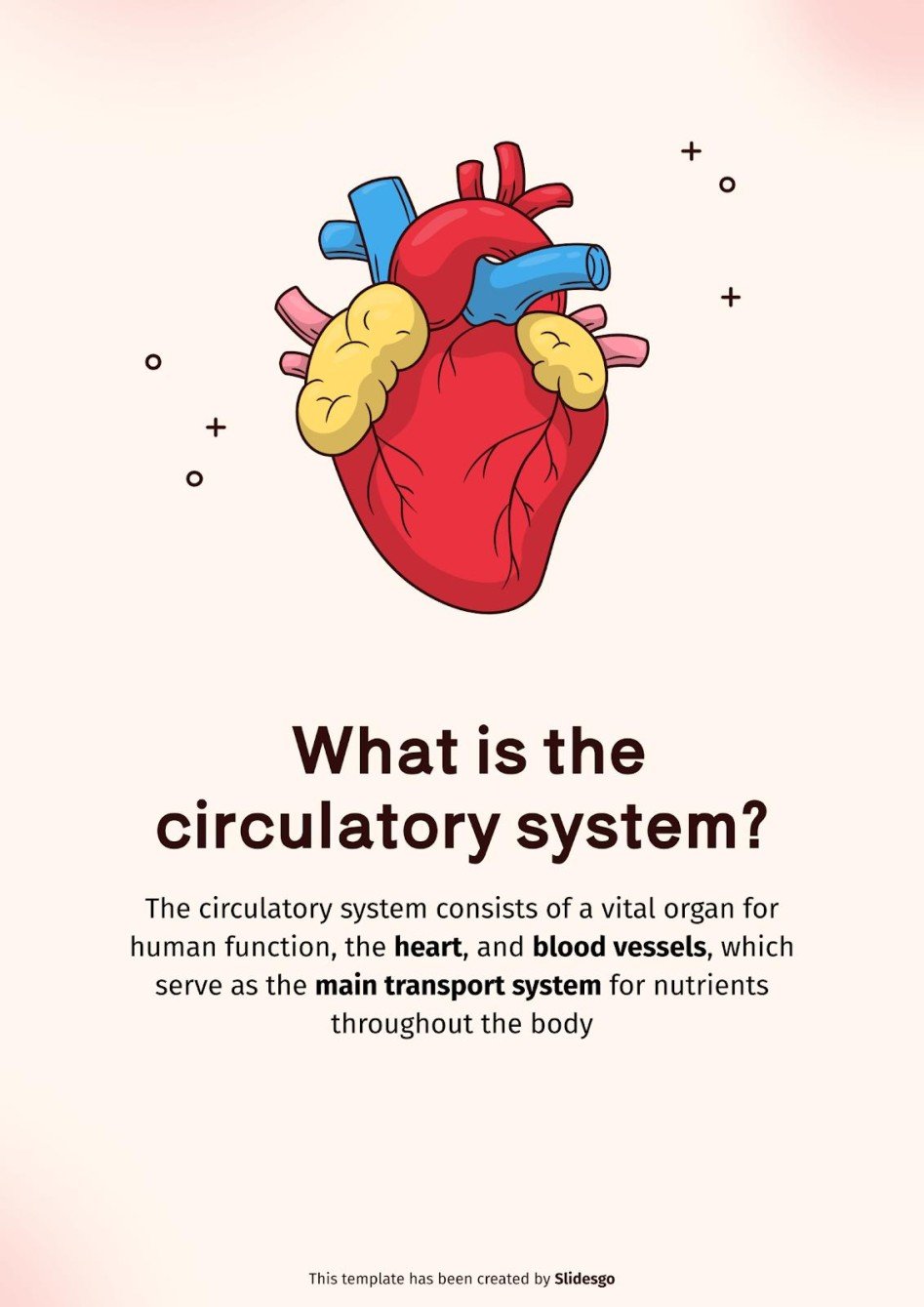 Presentación El sistema circulatorio