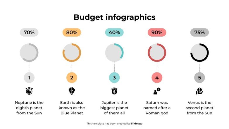 Budget Infographics Template