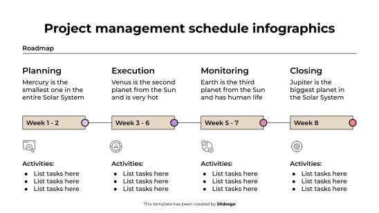 Project Management Schedule Infographics Template