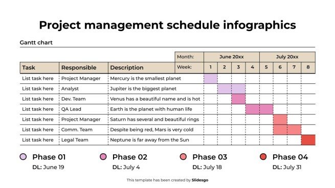 Project Management Schedule Infographics Template