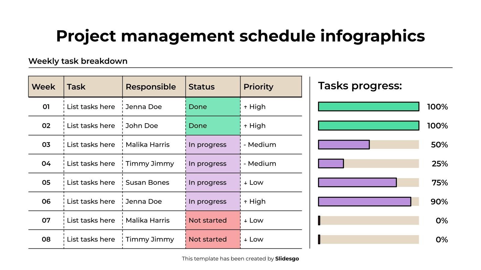 Project Management Schedule Infographics Template