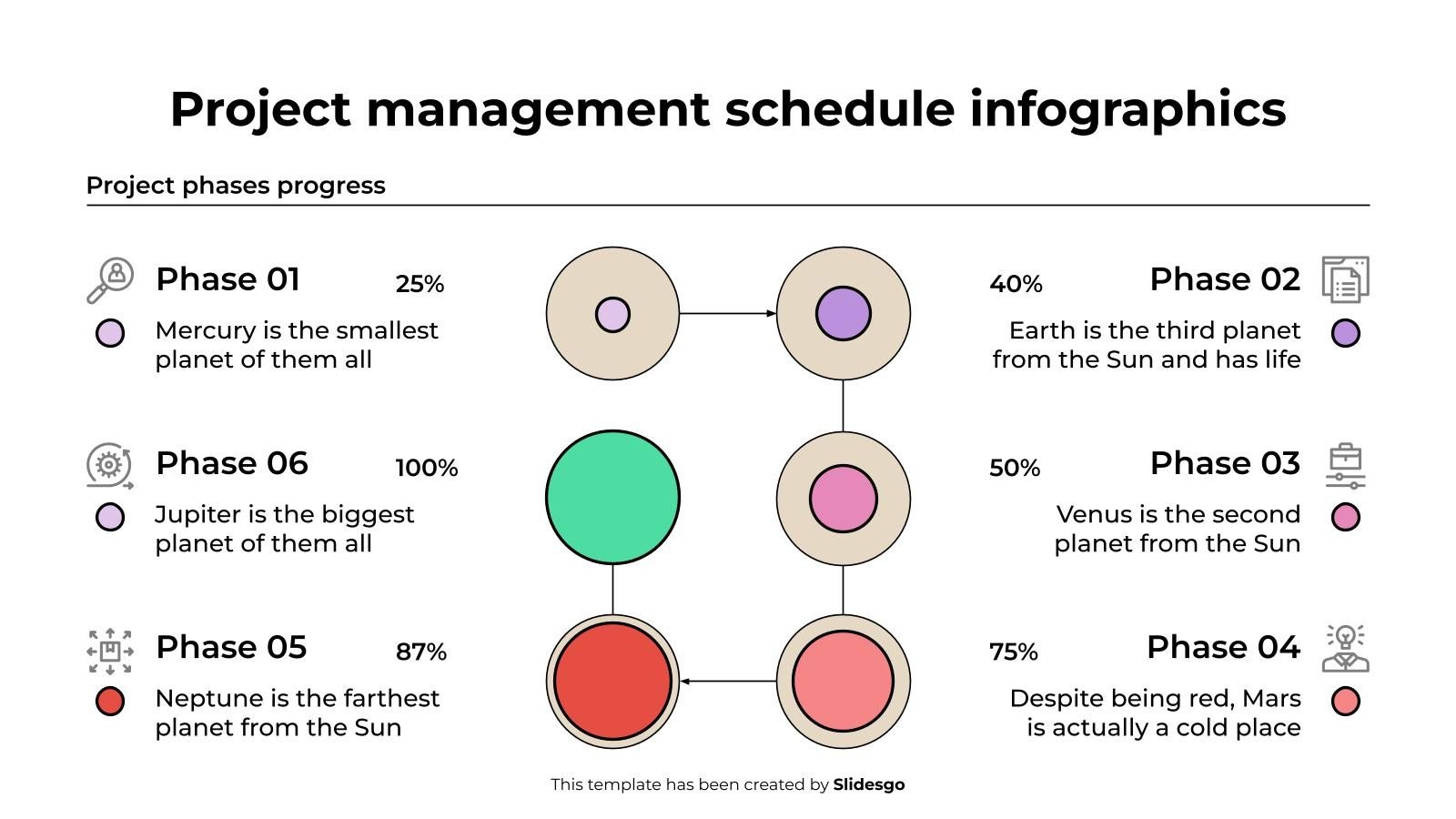 Project Management Schedule Infographics Template