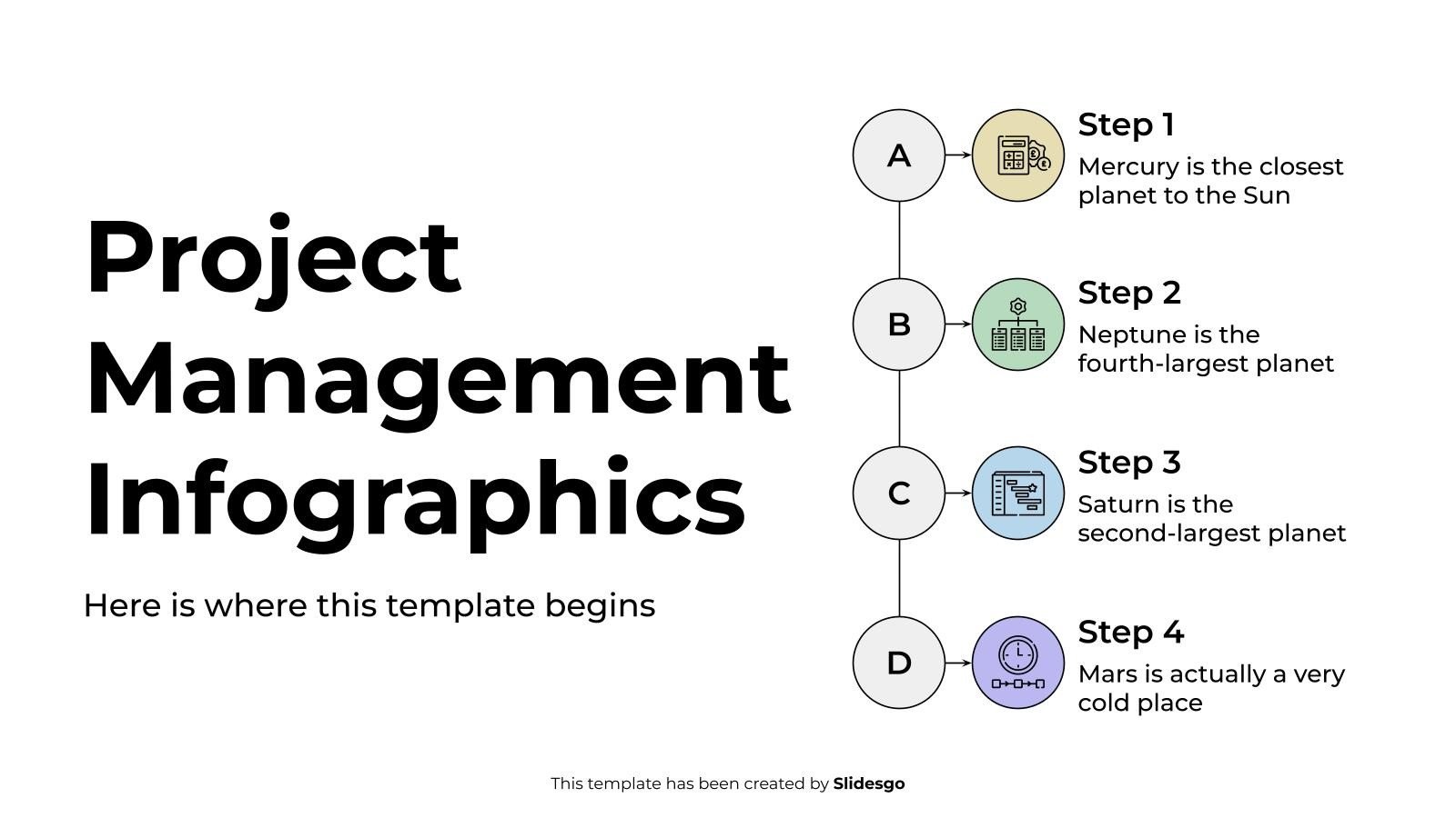 Project Management Infographics Template