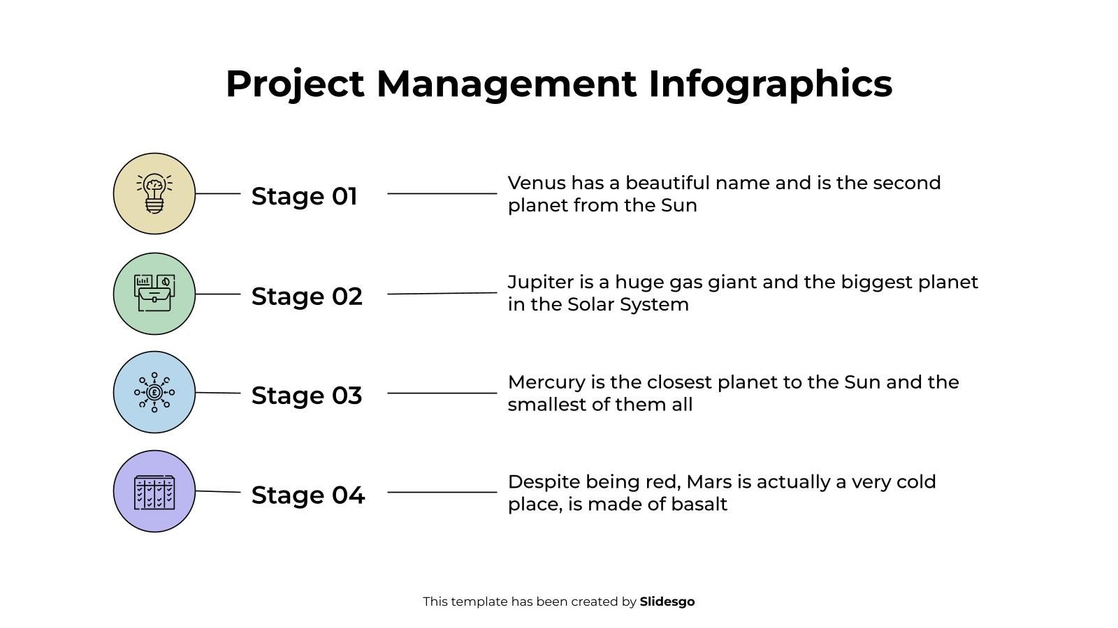 Project Management Infographics Template