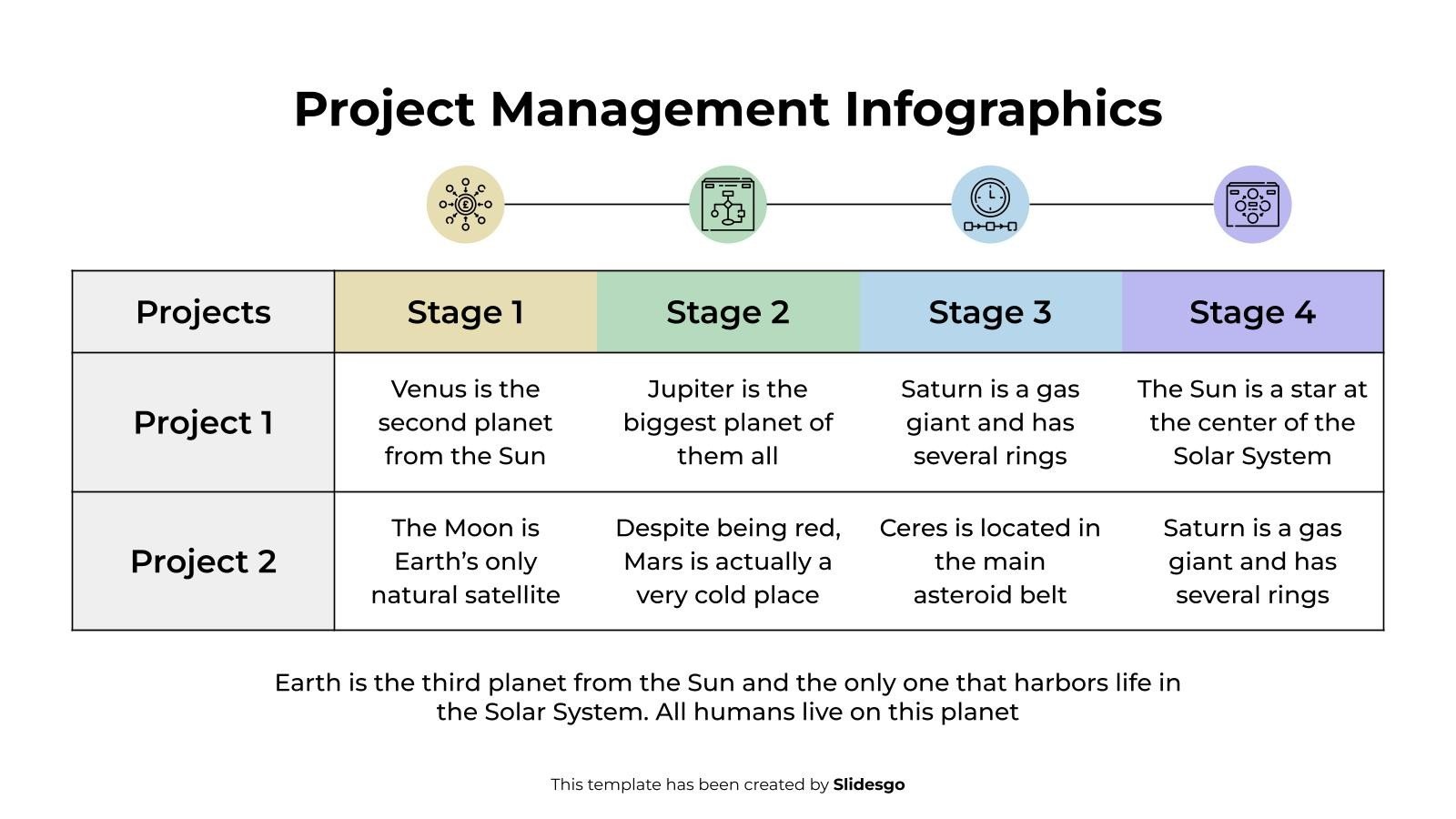 Project Management Infographics Template