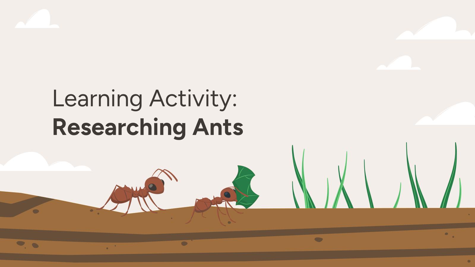 Learning Situation: Researching Ants Presentation