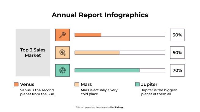 Annual Report Infographics Template