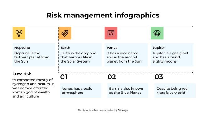 Risk Management Infographics Template