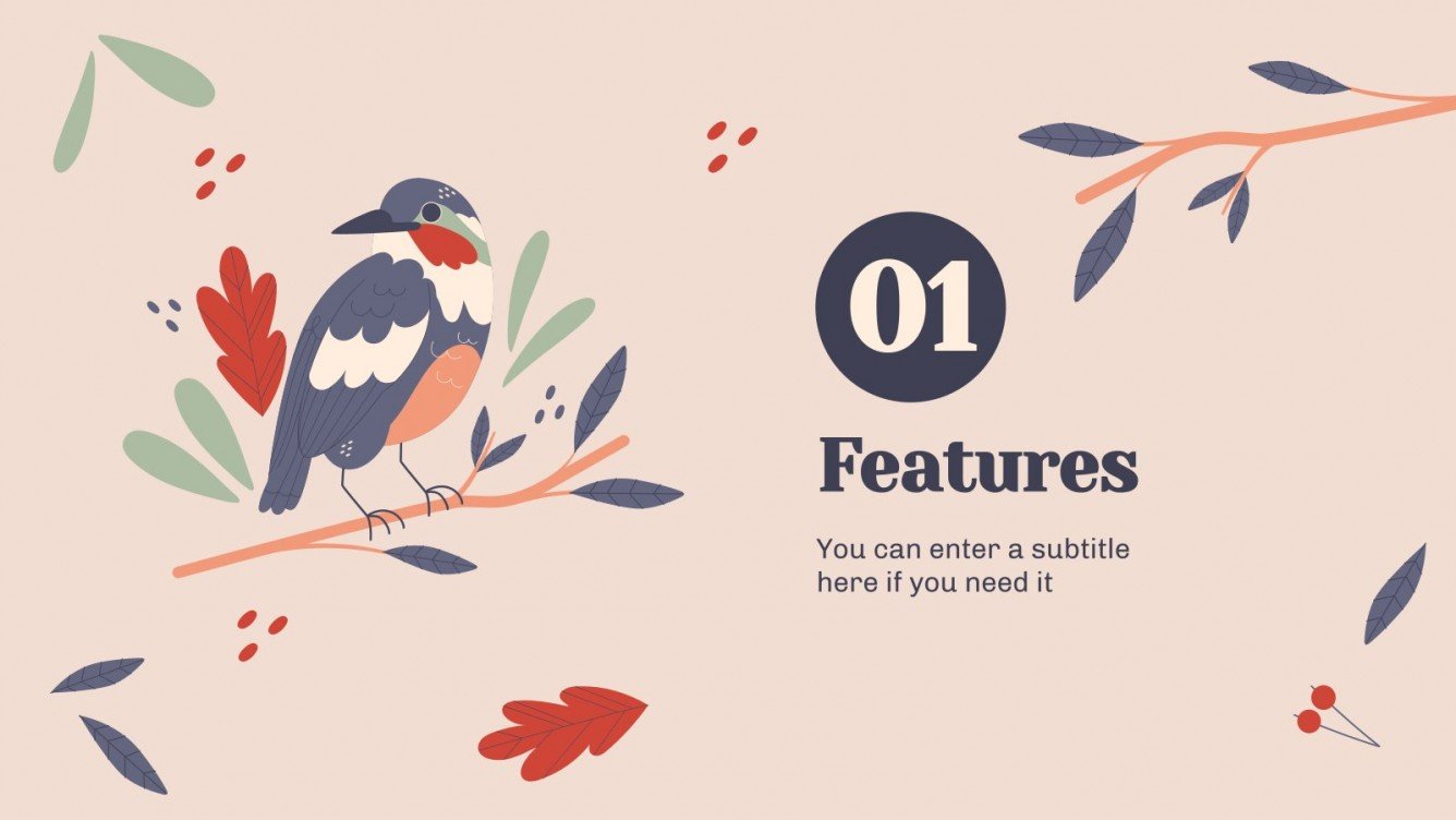 Bird Encyclopedia | Google Slides & PowerPoint template
