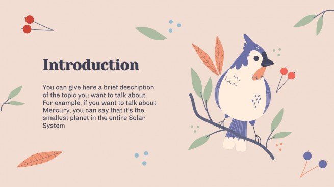 Bird Encyclopedia | Google Slides & PowerPoint template