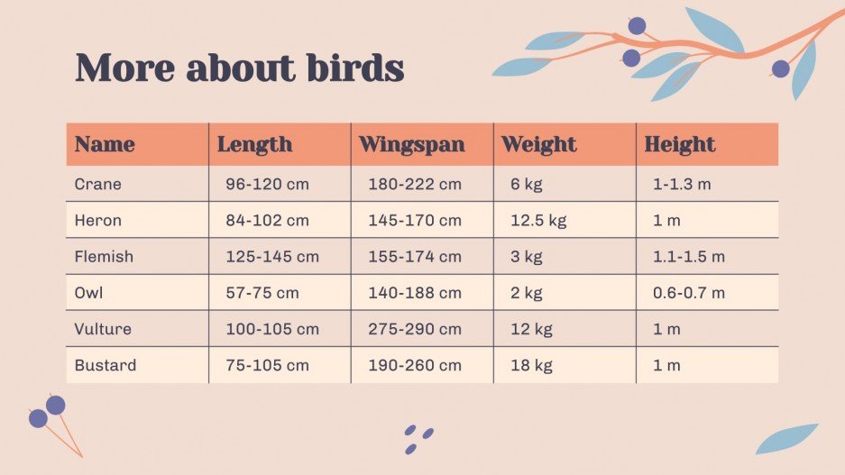Bird Encyclopedia | Google Slides & PowerPoint template