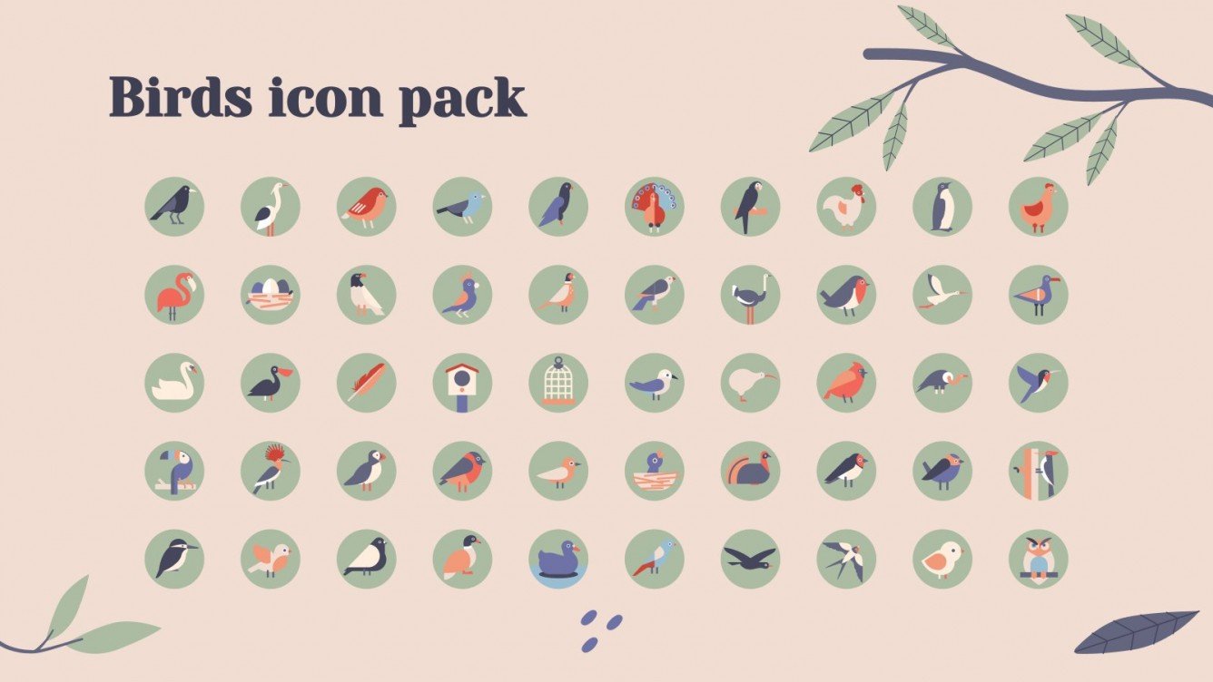 Bird Encyclopedia | Google Slides & PowerPoint template