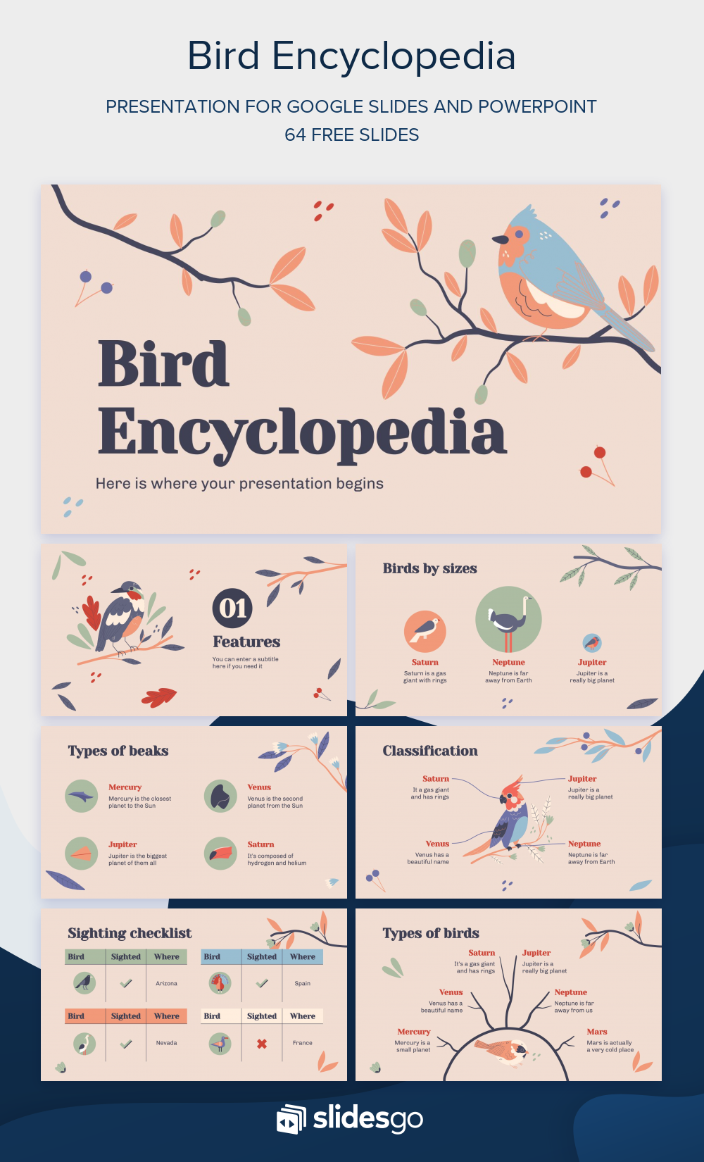 Bird Encyclopedia | Google Slides & PowerPoint template