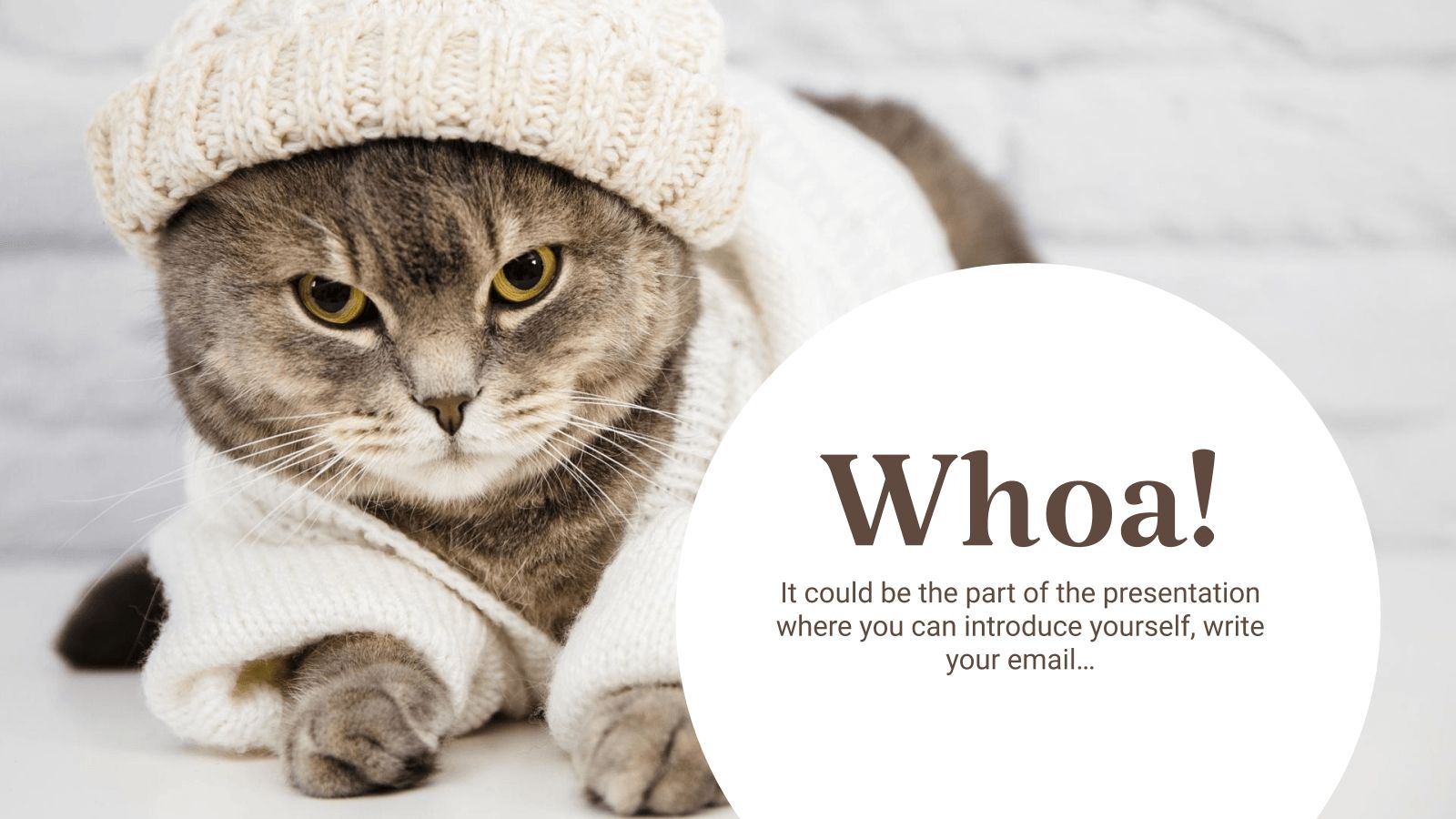Cute Cats Google Slides Theme and PowerPoint Template