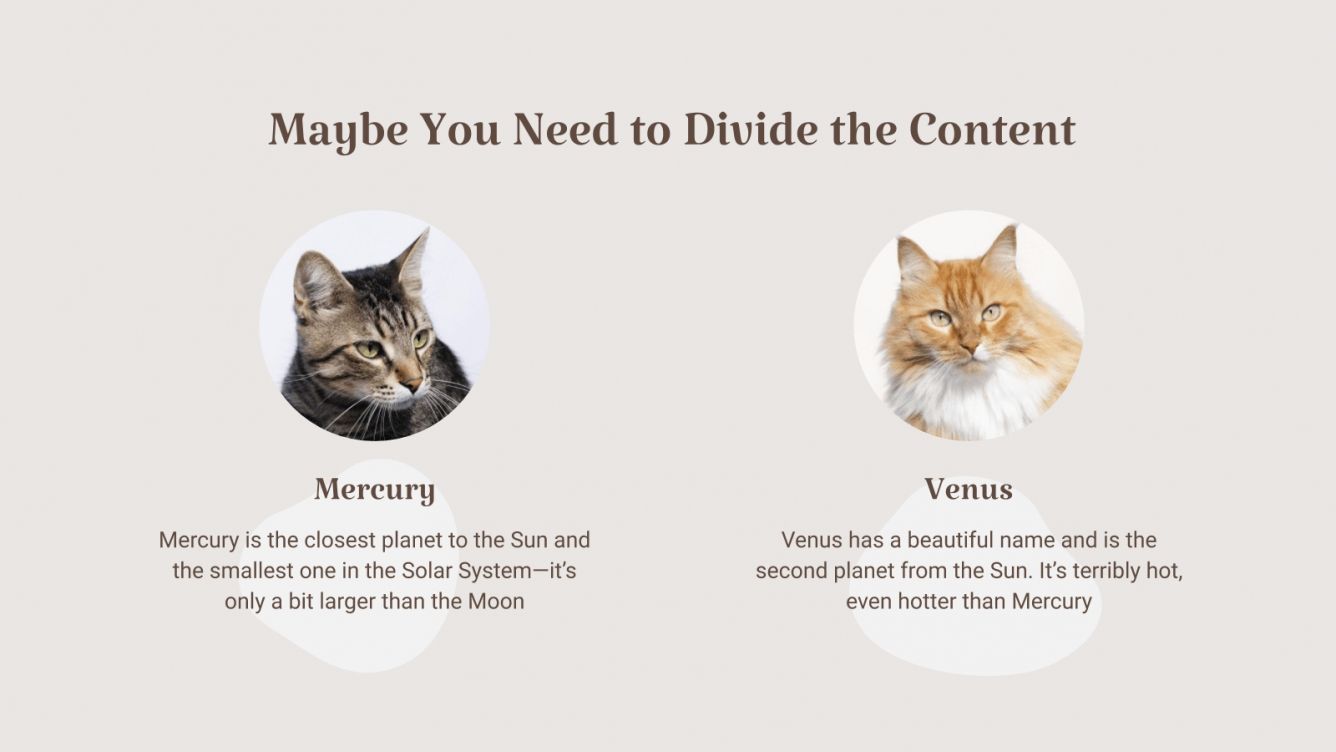 Cute Cats Google Slides Theme and PowerPoint Template