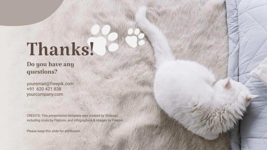 Cute Cats Google Slides Theme and PowerPoint Template