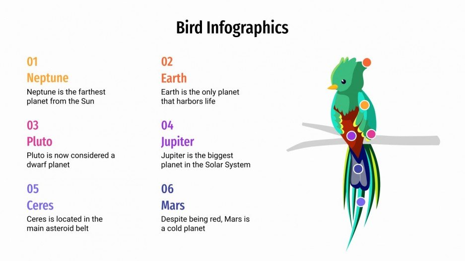 Bird Infographics | Google Slides and PowerPoint template