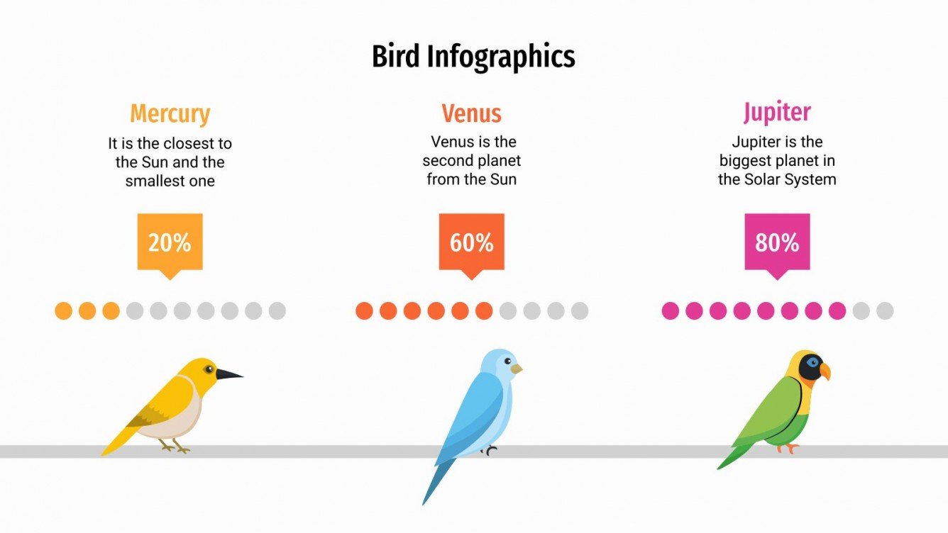 Bird Infographics | Google Slides and PowerPoint template