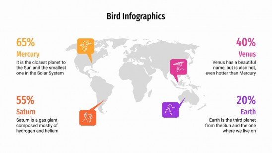 Bird Infographics | Google Slides and PowerPoint template