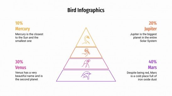 Bird Infographics | Google Slides and PowerPoint template