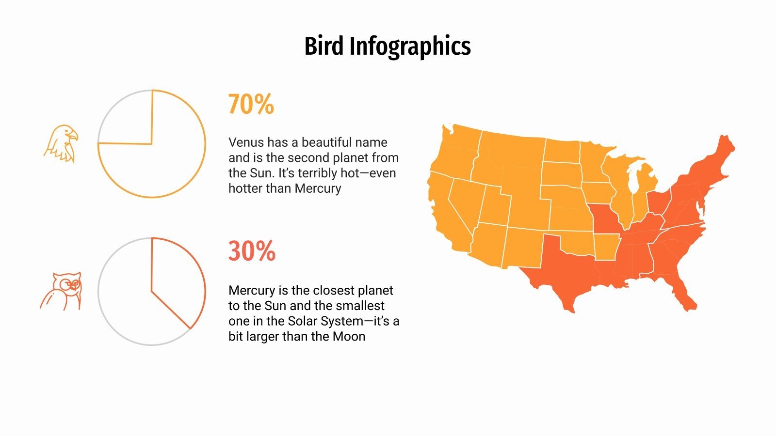 Bird Infographics | Google Slides and PowerPoint template