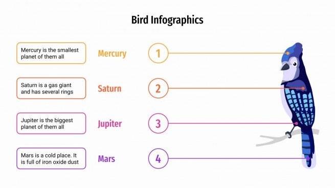 Bird Infographics | Google Slides and PowerPoint template