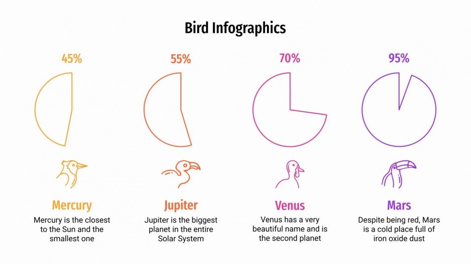 Bird Infographics | Google Slides and PowerPoint template