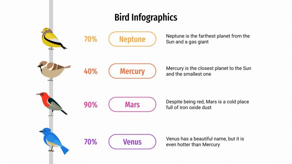 Bird Infographics | Google Slides and PowerPoint template