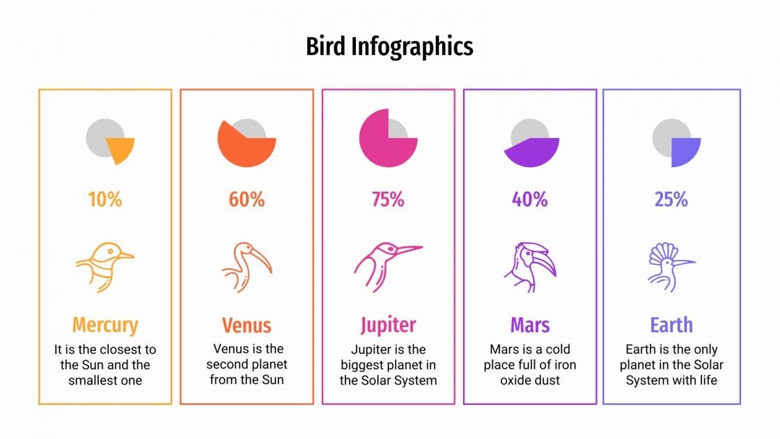 Bird Infographics | Google Slides and PowerPoint template