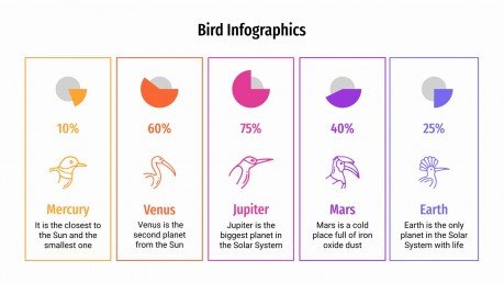 Bird Infographics | Google Slides and PowerPoint template
