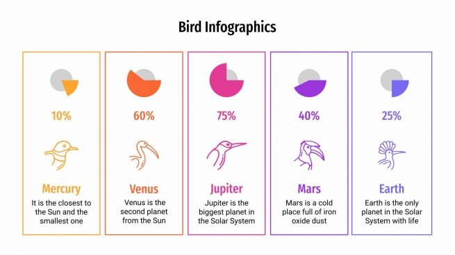 Bird Infographics | Google Slides and PowerPoint template