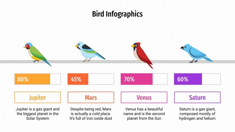 Bird Infographics | Google Slides and PowerPoint template