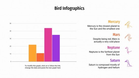Bird Infographics | Google Slides and PowerPoint template