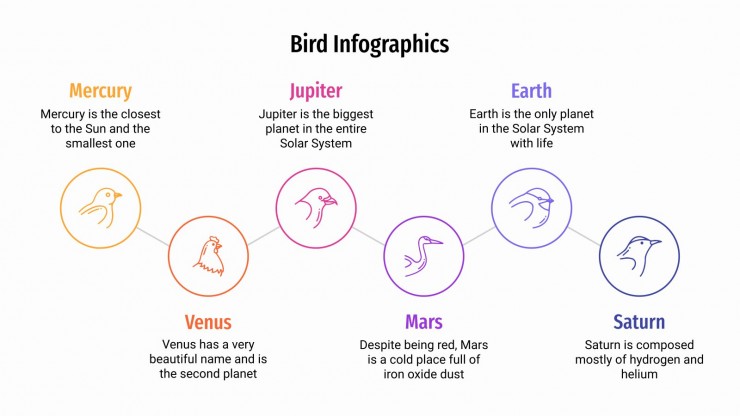 Bird Infographics | Google Slides and PowerPoint template