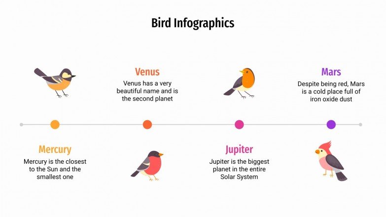 Bird Infographics | Google Slides and PowerPoint template
