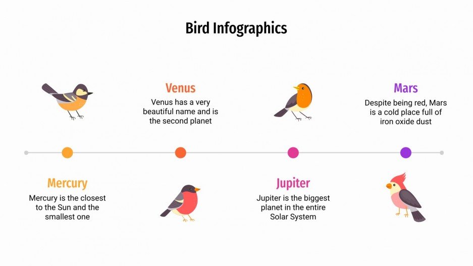 Bird Infographics | Google Slides and PowerPoint template