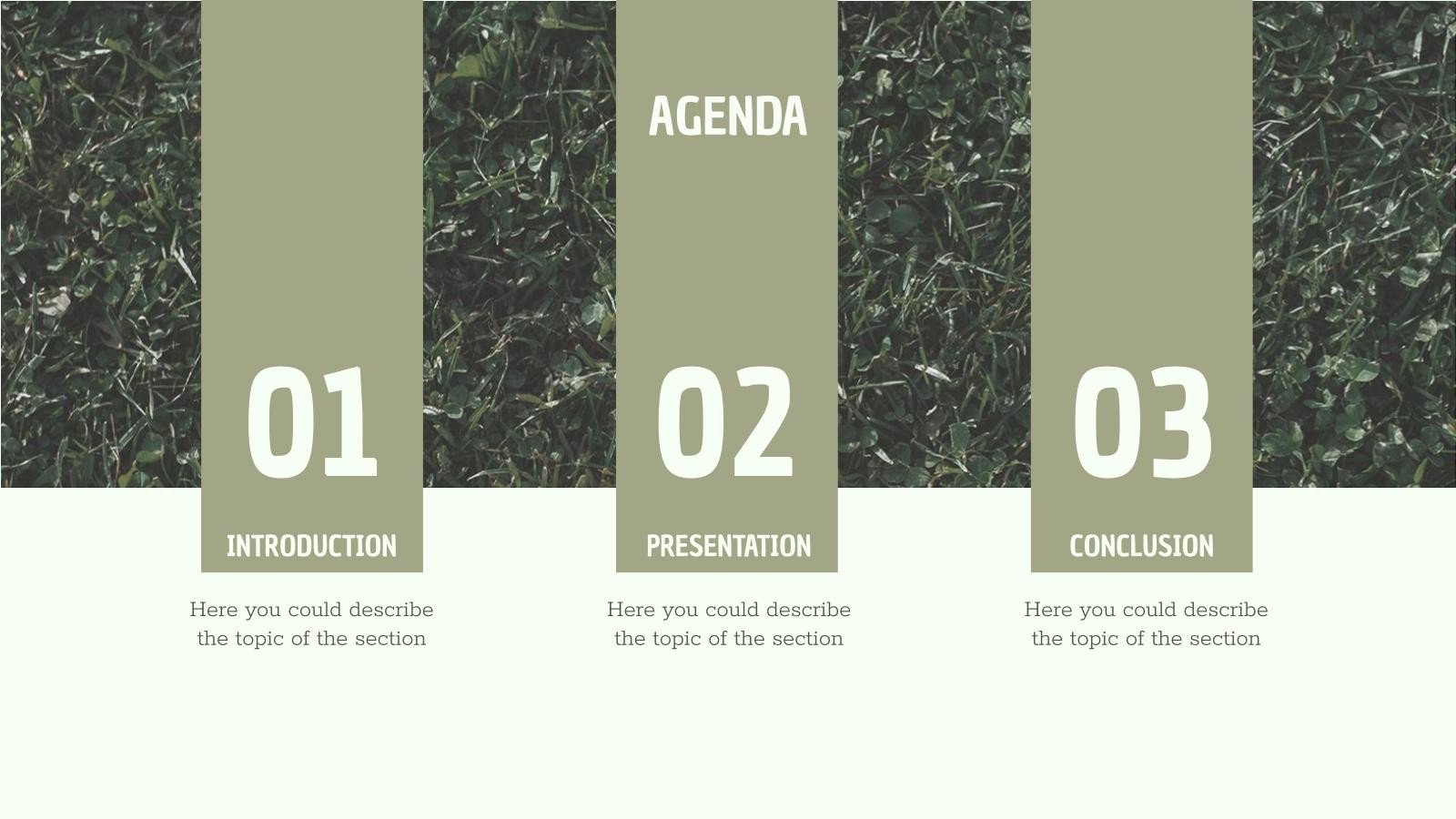 CSR Report Google Slides and PowerPoint Template