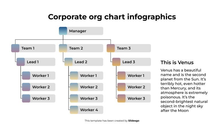 Corporate Org Chart Infographics Template