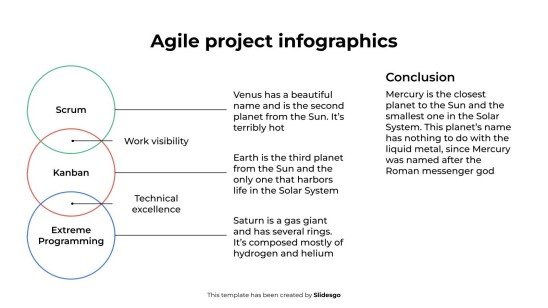 Agile Project Infographics Template