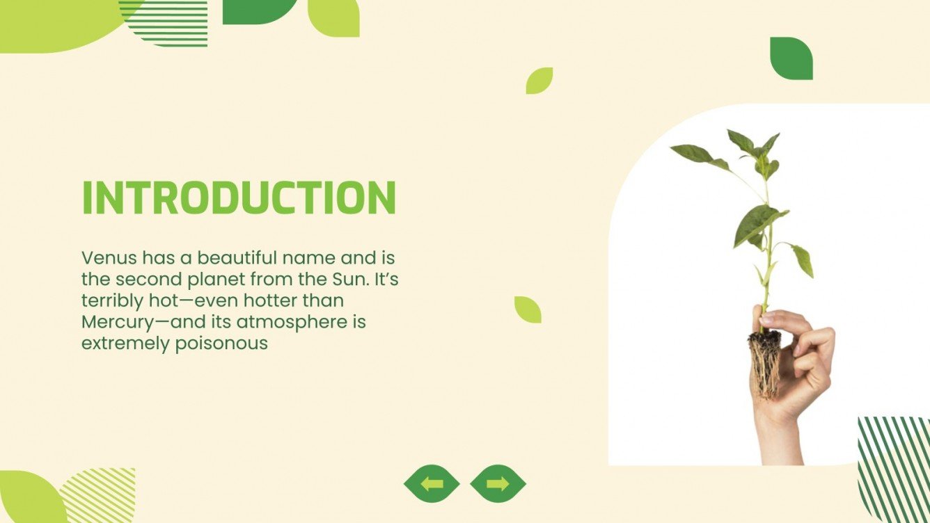 Natural Science Lesson Google Slides and PowerPoint template